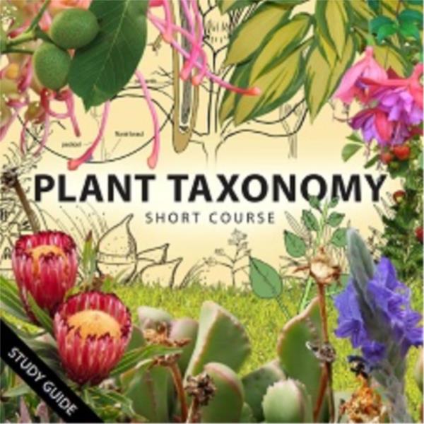 Plant Taxonomy Online Course Botany Identifying Plants Plant Taxonomy Online Course Botany Identifying Plants